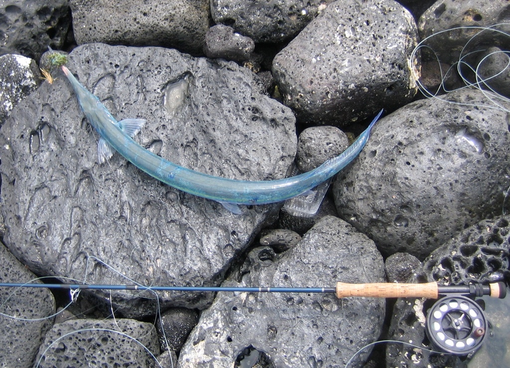 Fly Fishing Hawaii: Big Island