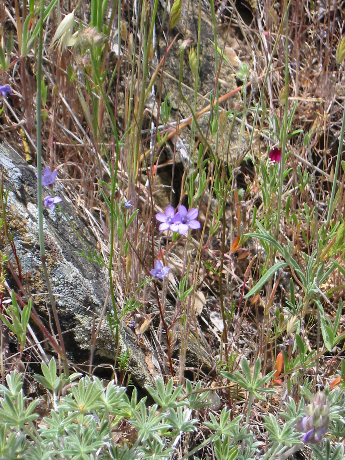 Rattlesnake Ridge, 26 May 2003